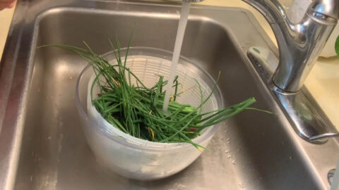 How to Freeze Chives? A Complete Guide to Preserving Freshness - Savvy Eat