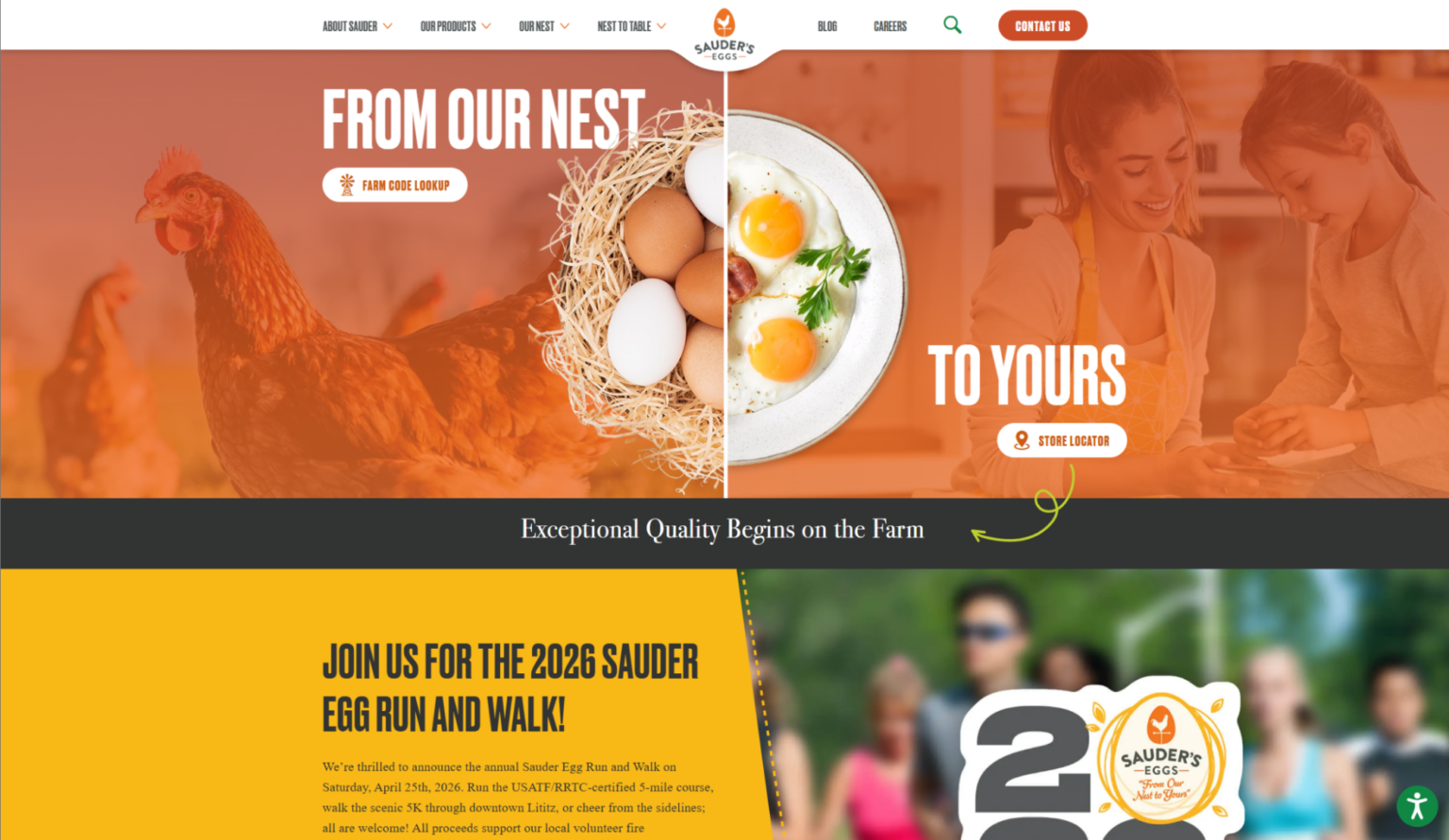 5 Egg Brands That Offer Eggs From Hens With Daily Outdoor Access ...